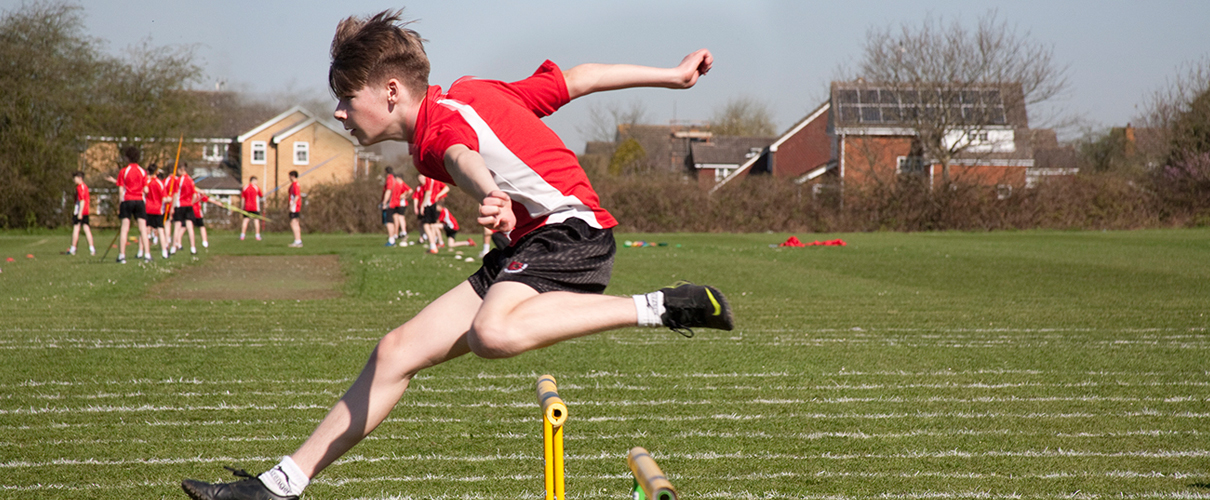 Roundwood Park School